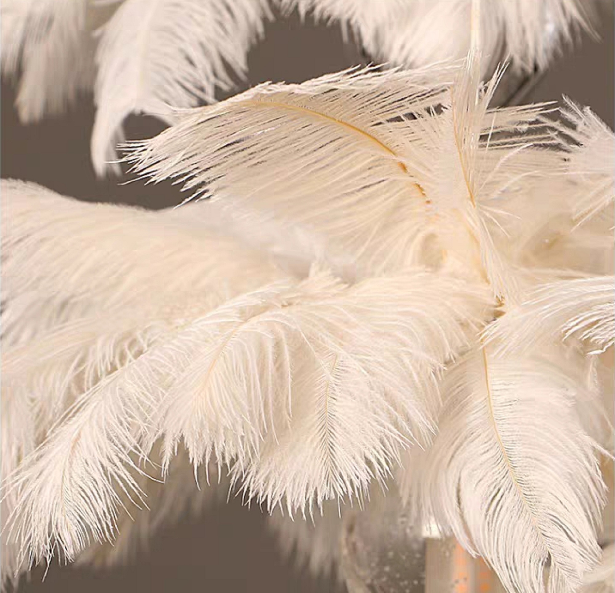 Chandelier Ostrich Feather Ceiling Lamp