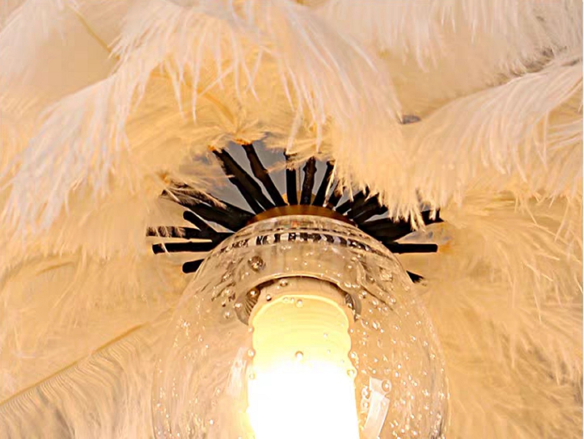 Chandelier Ostrich Feather Ceiling Lamp
