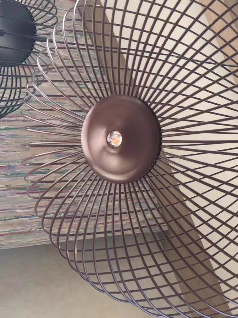 Spokes Bird Cage Chandelier with Remote control